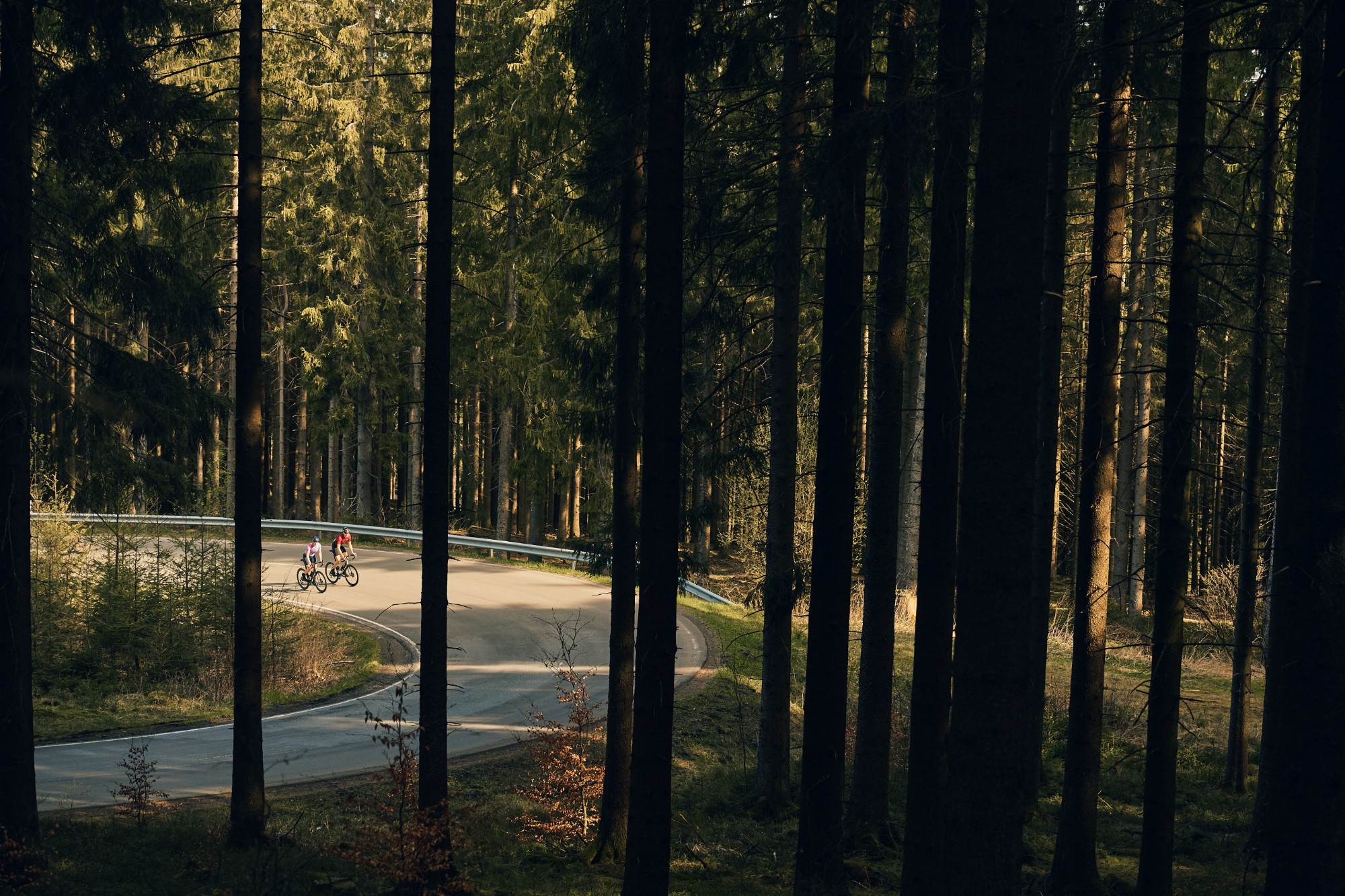 Rennrad - Tour de Bildchen - www.bike-arena.de