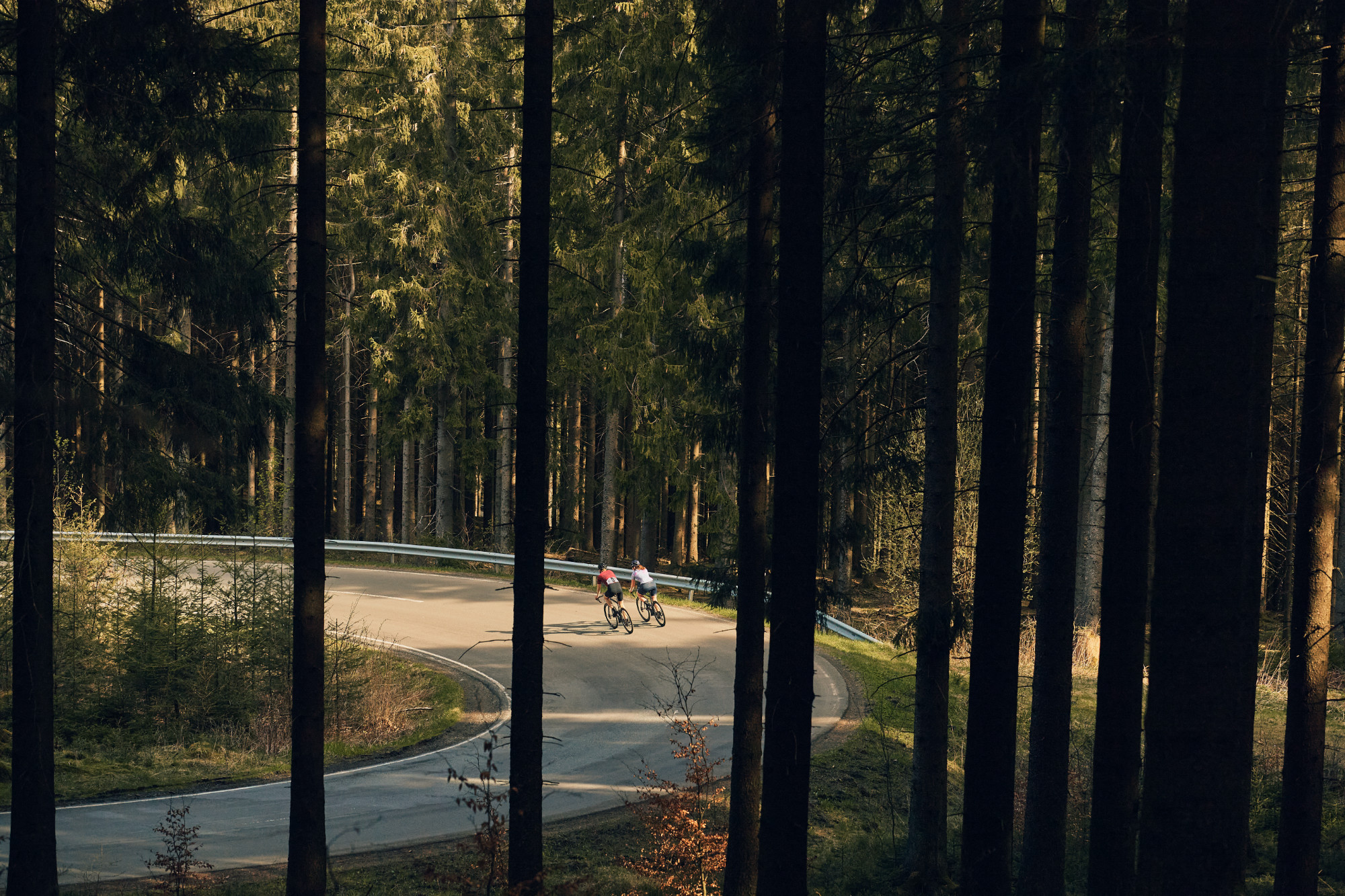 Rennrad - Ostschleife - www.bike-arena.de